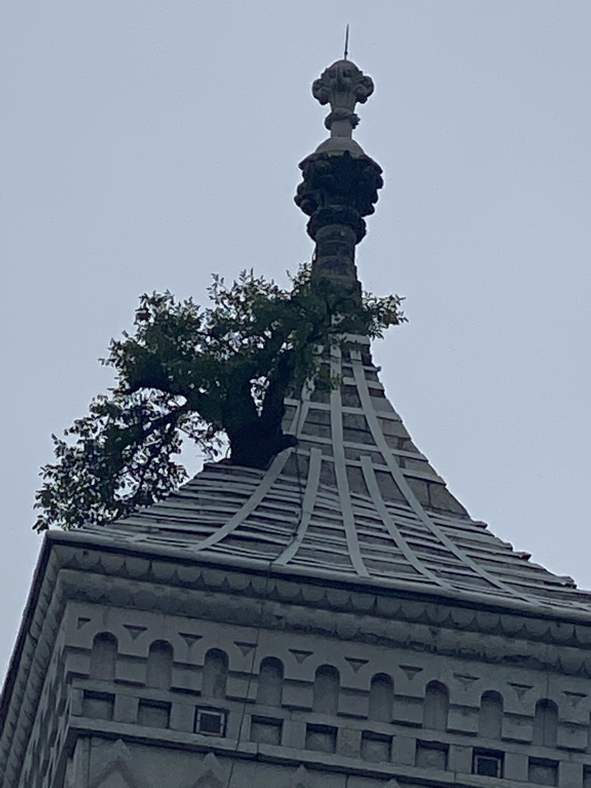 TheBiKeWriTer | Greensburg, IN and its famous tower tree – TheBiKeWriTer